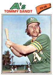 Tommy Sandt had atypical stint in Cardinals system | RetroSimba