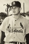 Spring stint with Cardinals was no bonus for Frank Leja | RetroSimba